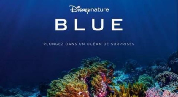 Blue, un film qui vous fera aimer l'océan