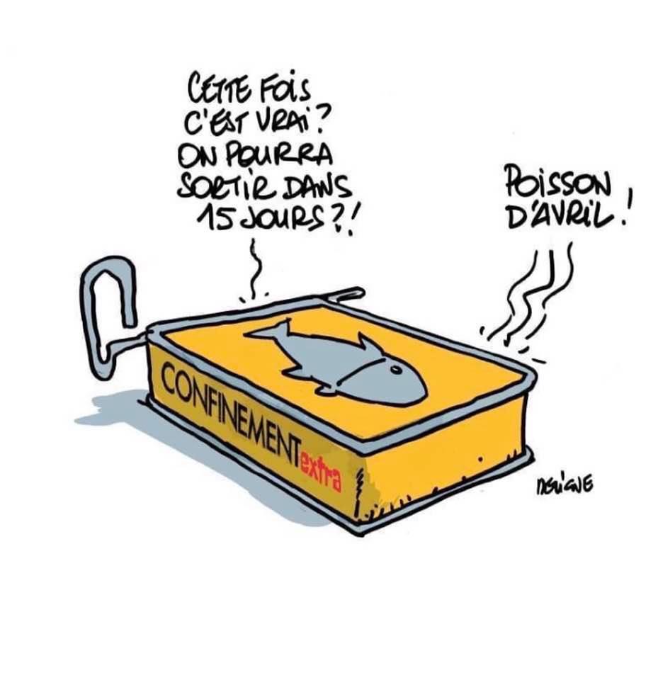 Confinement - Humour 13 ! Du rire en intraveineuse...