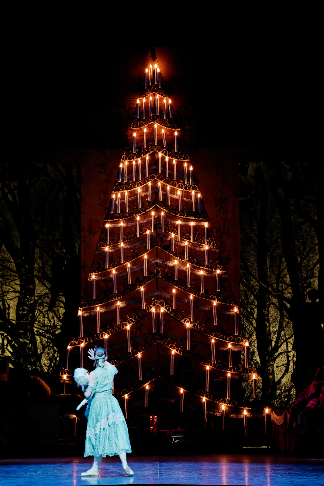 Casse-Noisette de Rudolf Noureev : ce grand classique de la magie ...